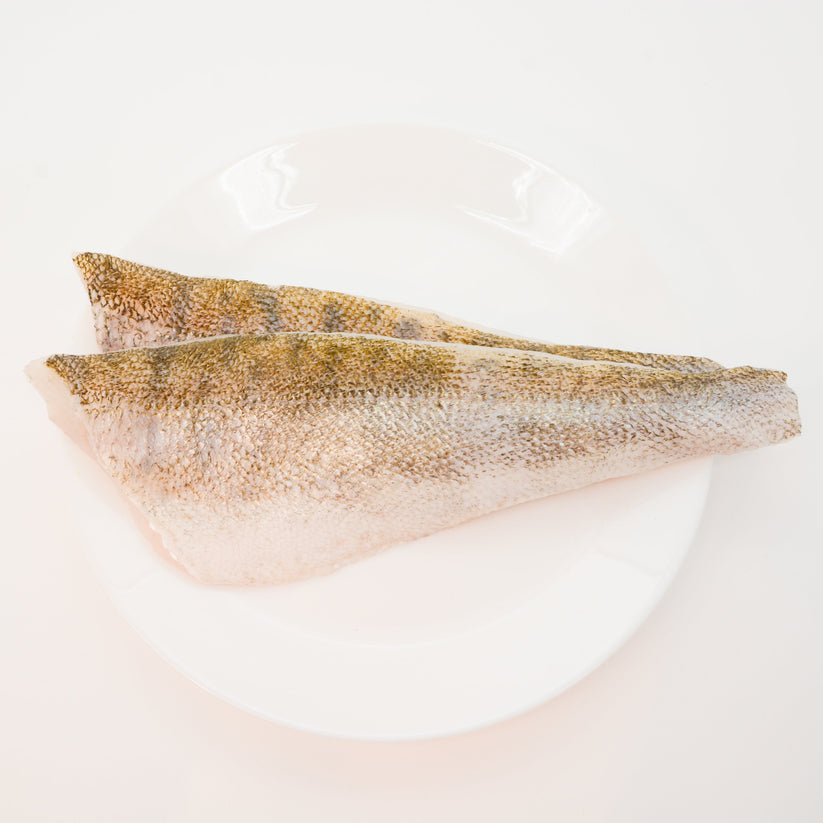Schweizer Zander Filet mit Haut – Localfish AG